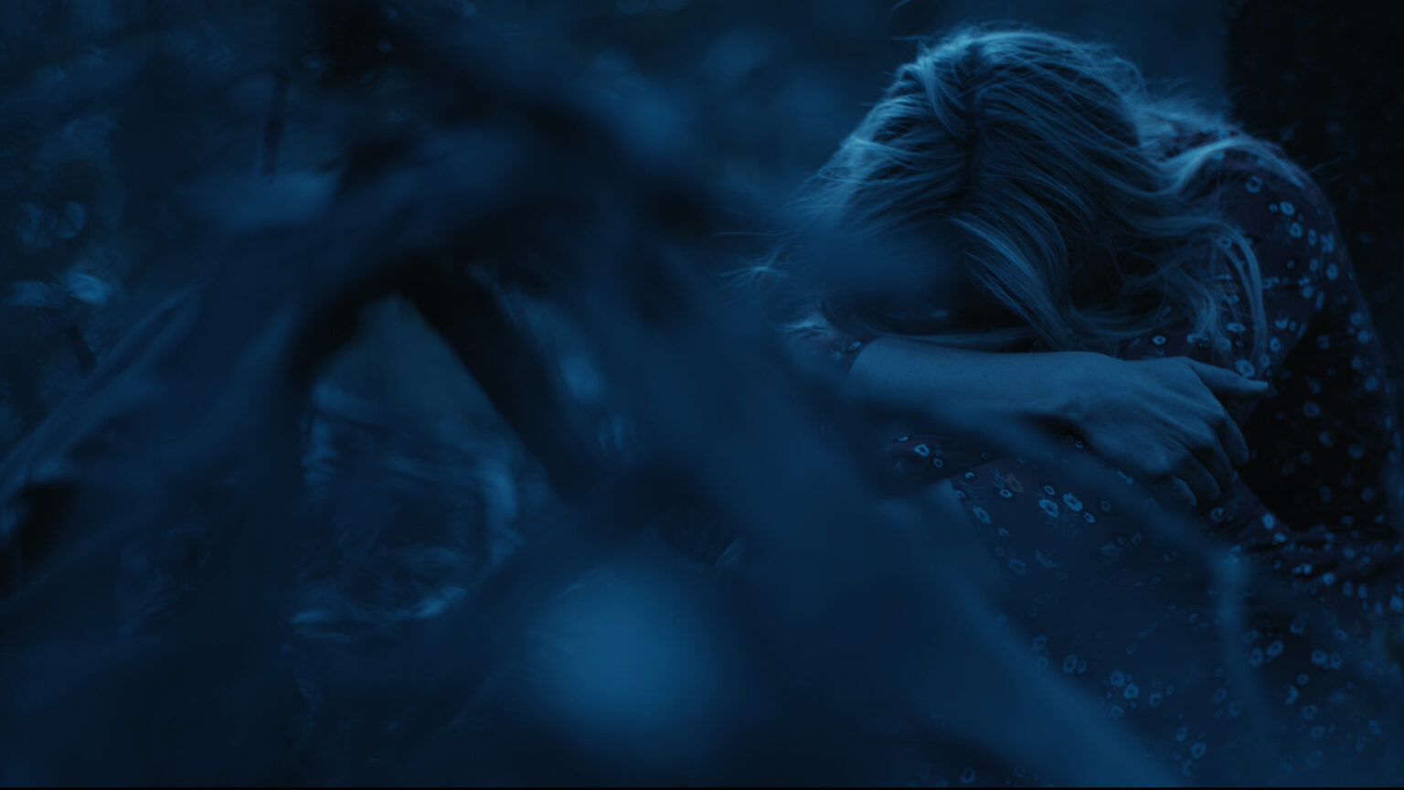Past the Shallows Film - Archipelago Productions