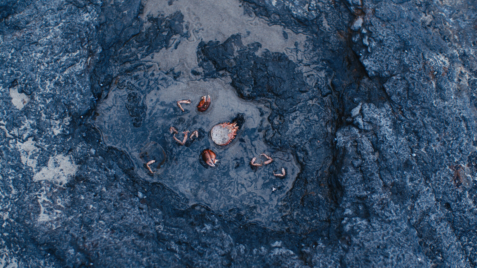 Past the Shallows Film - Archipelago Productions