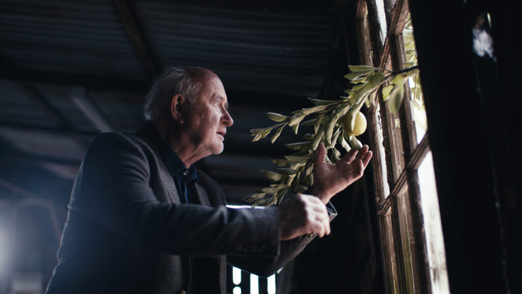 Past the Shallows Film - Archipelago Productions